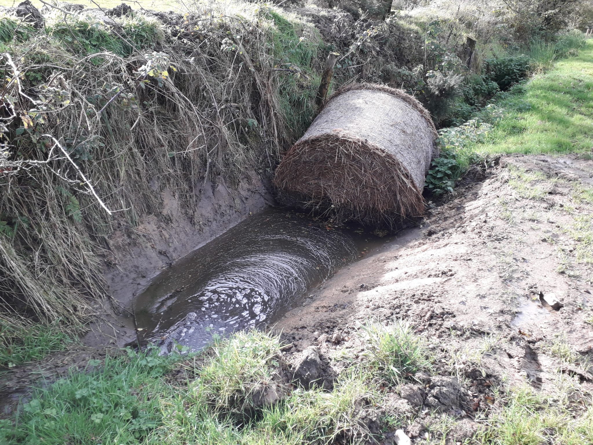 Rush Bale silt trap - IRD Duhallow