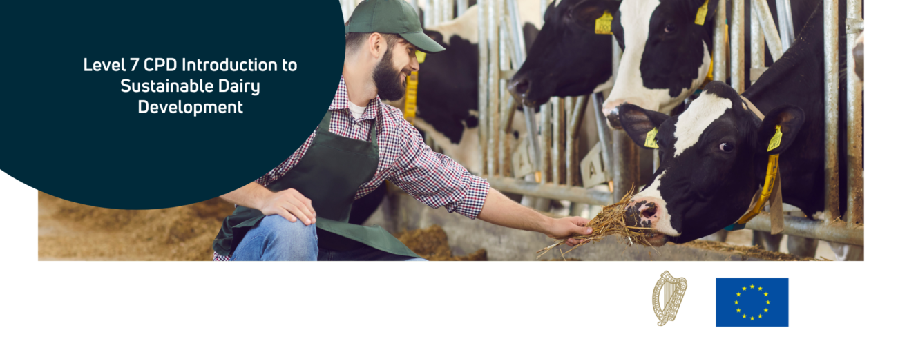 Carbery – QQI Level 7 Introduction to Sustainable Dairy Development 2025